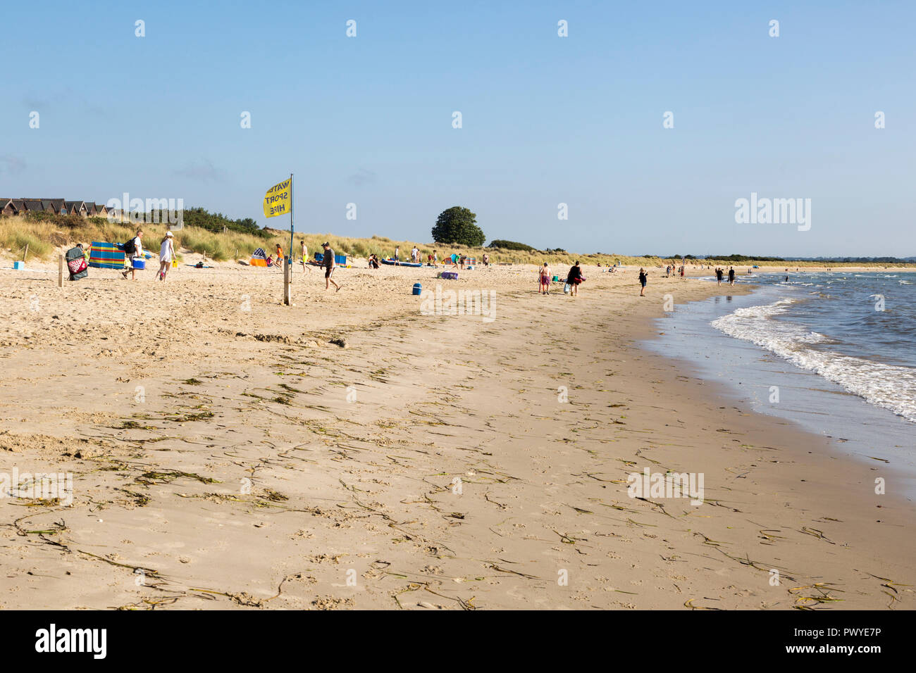 Early morning quiet at Knoll beach, Studland Bay, Swanage, Dorset ...