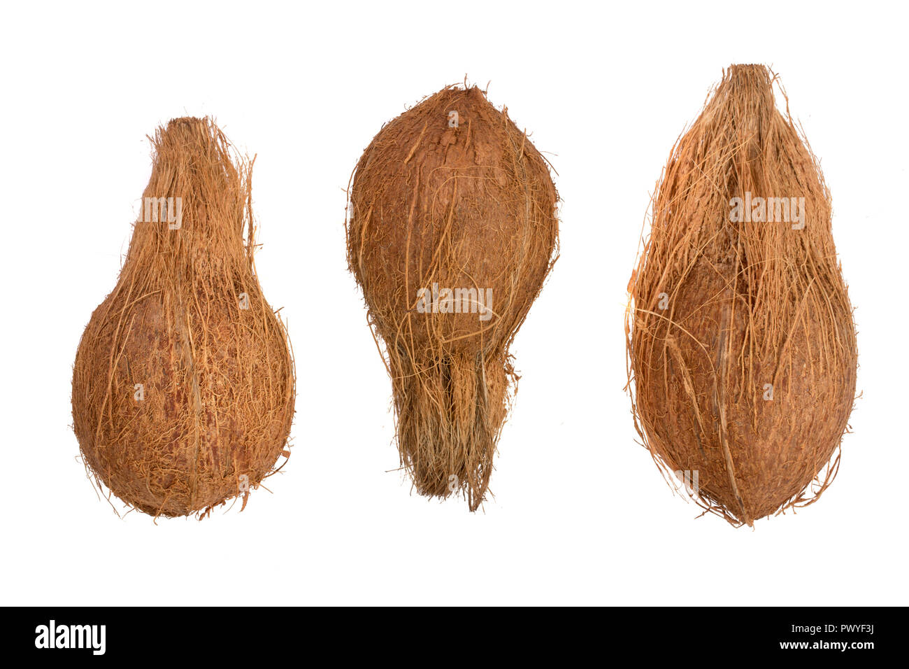 three whole coconut isolated on white background. Flat lay. Top view ...