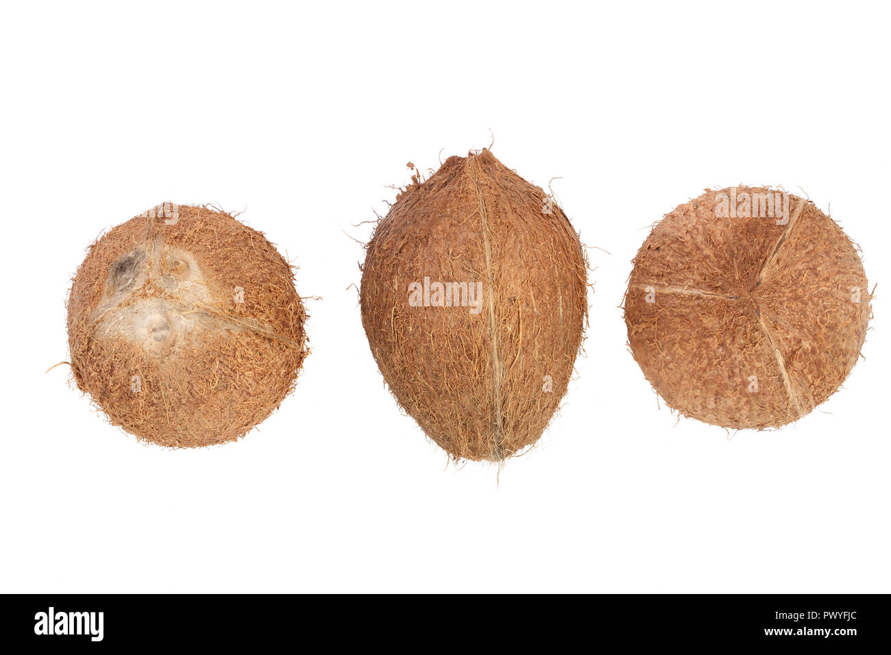 three whole coconut isolated on white background. Flat lay. Top view ...