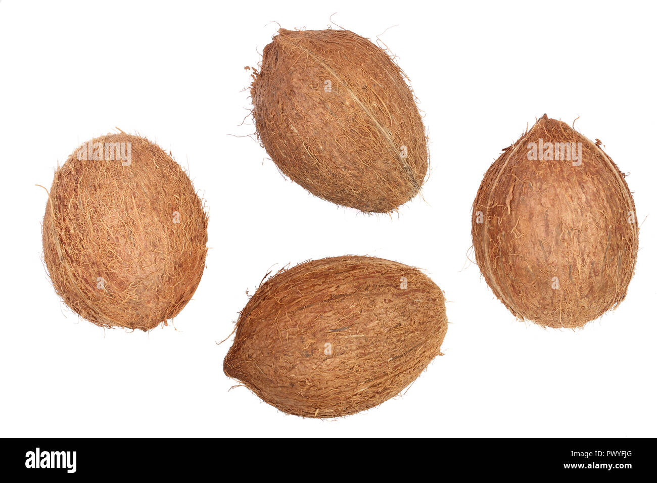 four whole coconut isolated on white background. Flat lay. Top view ...