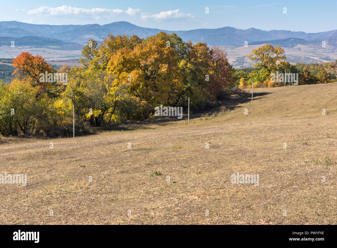 Autumn landscape of Cherna Gora (Monte Negro) mountain, Pernik Region ...