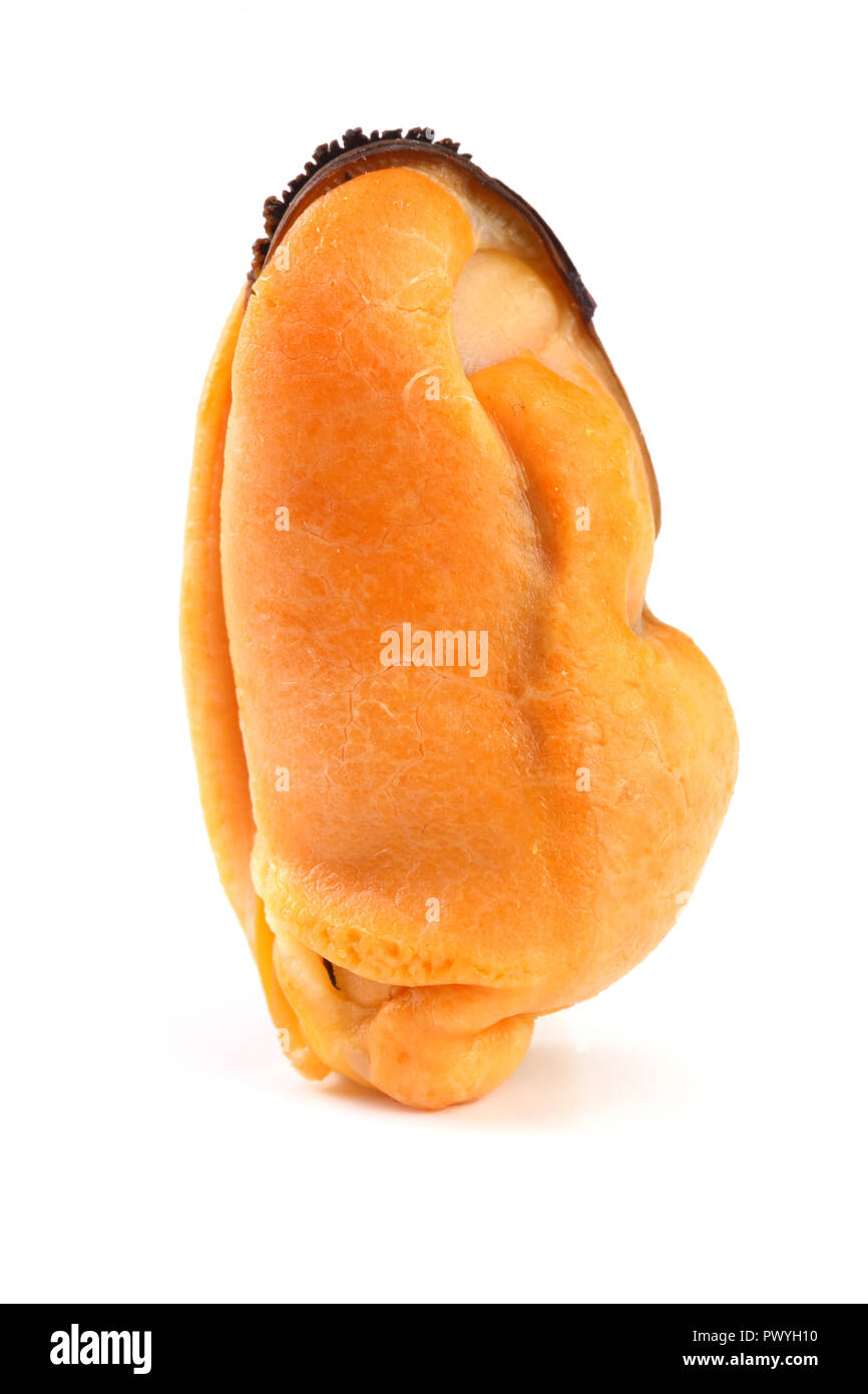 One mussel without shell isolated on white background Stock Photo - Alamy