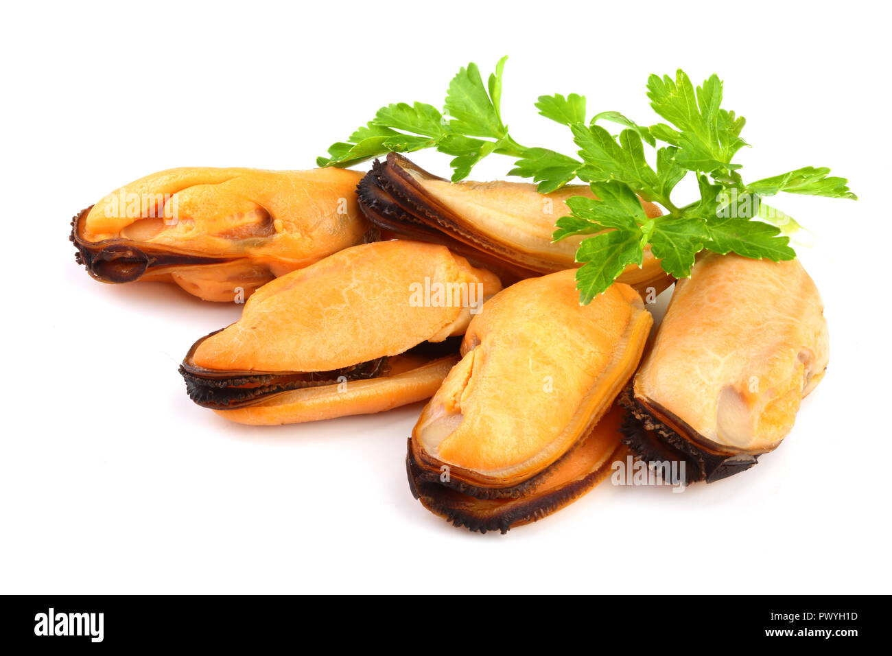 mussel with parsley leaf isolated on white background Stock Photo - Alamy
