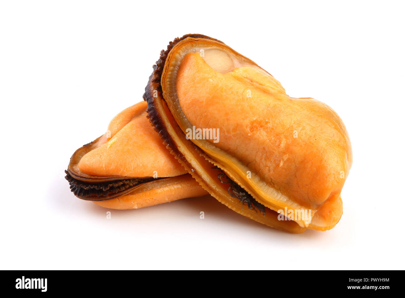 two mussel without shell isolated on white background Stock Photo - Alamy