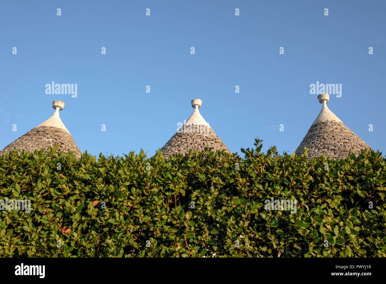 View of the conical roofs of three trulli houses behind a green hedge ...
