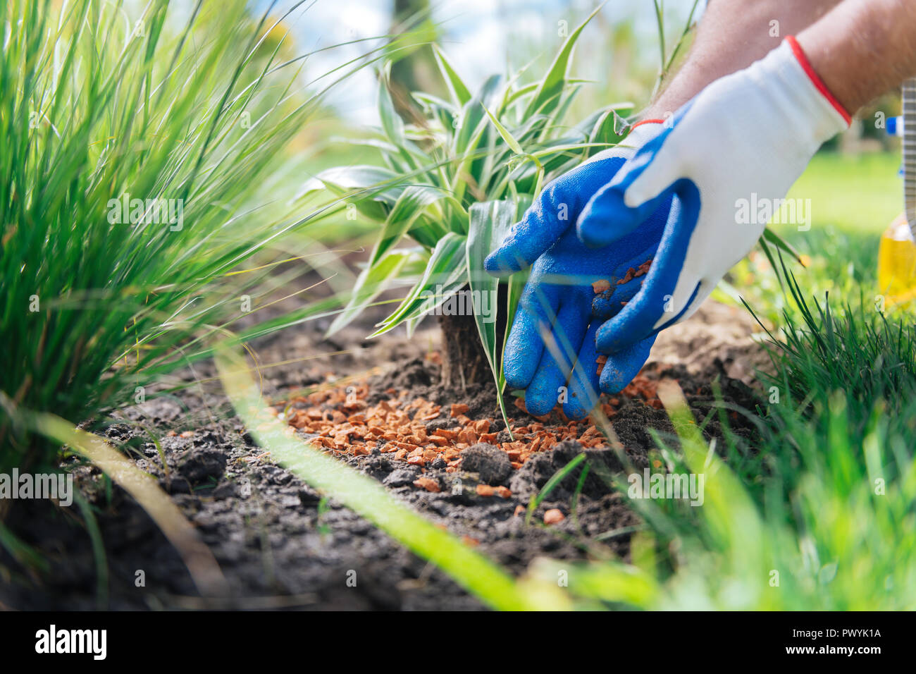 Professional farming hi-res stock photography and images - Alamy