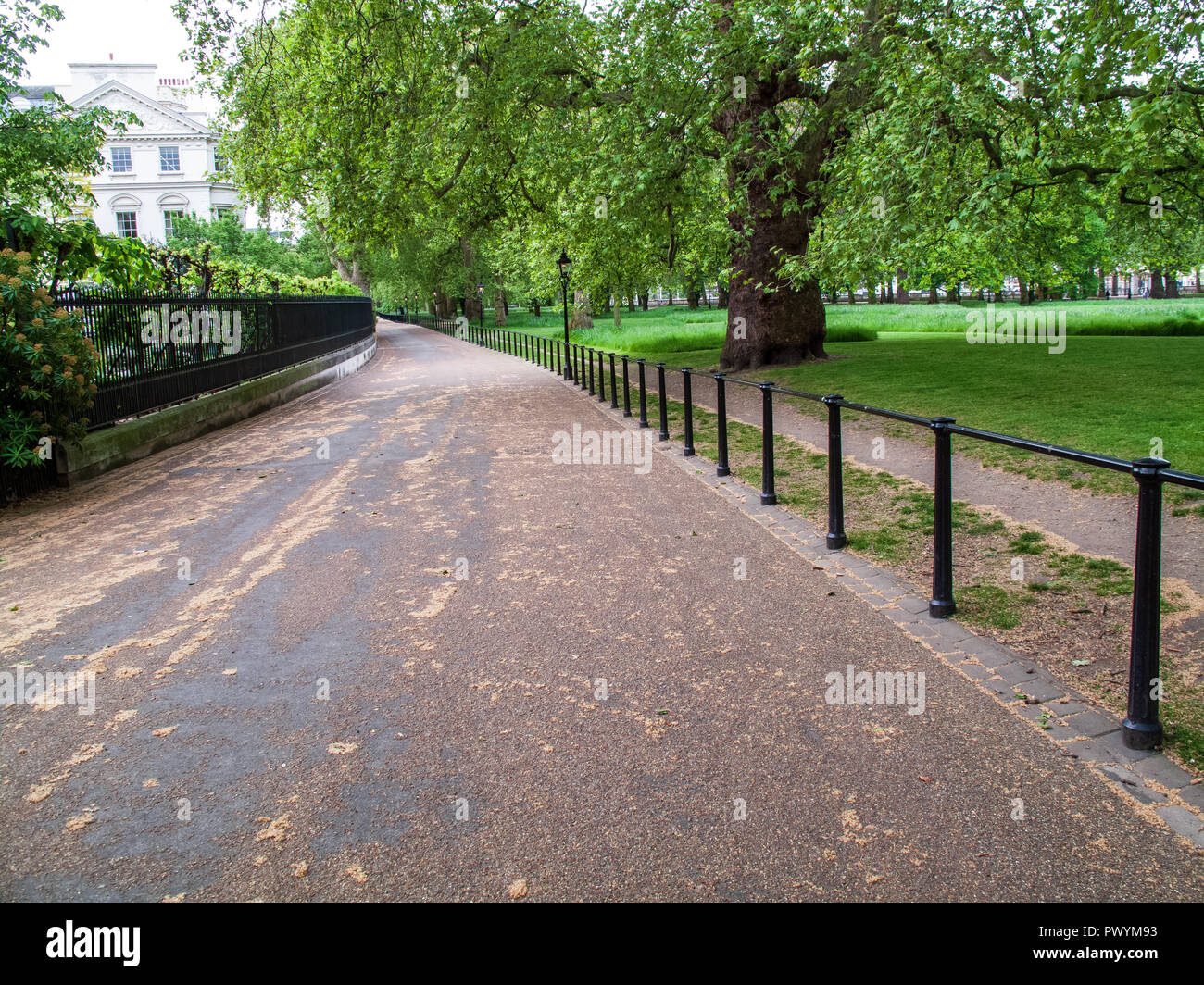 Footpath through Green Park London Stock Photo - Alamy