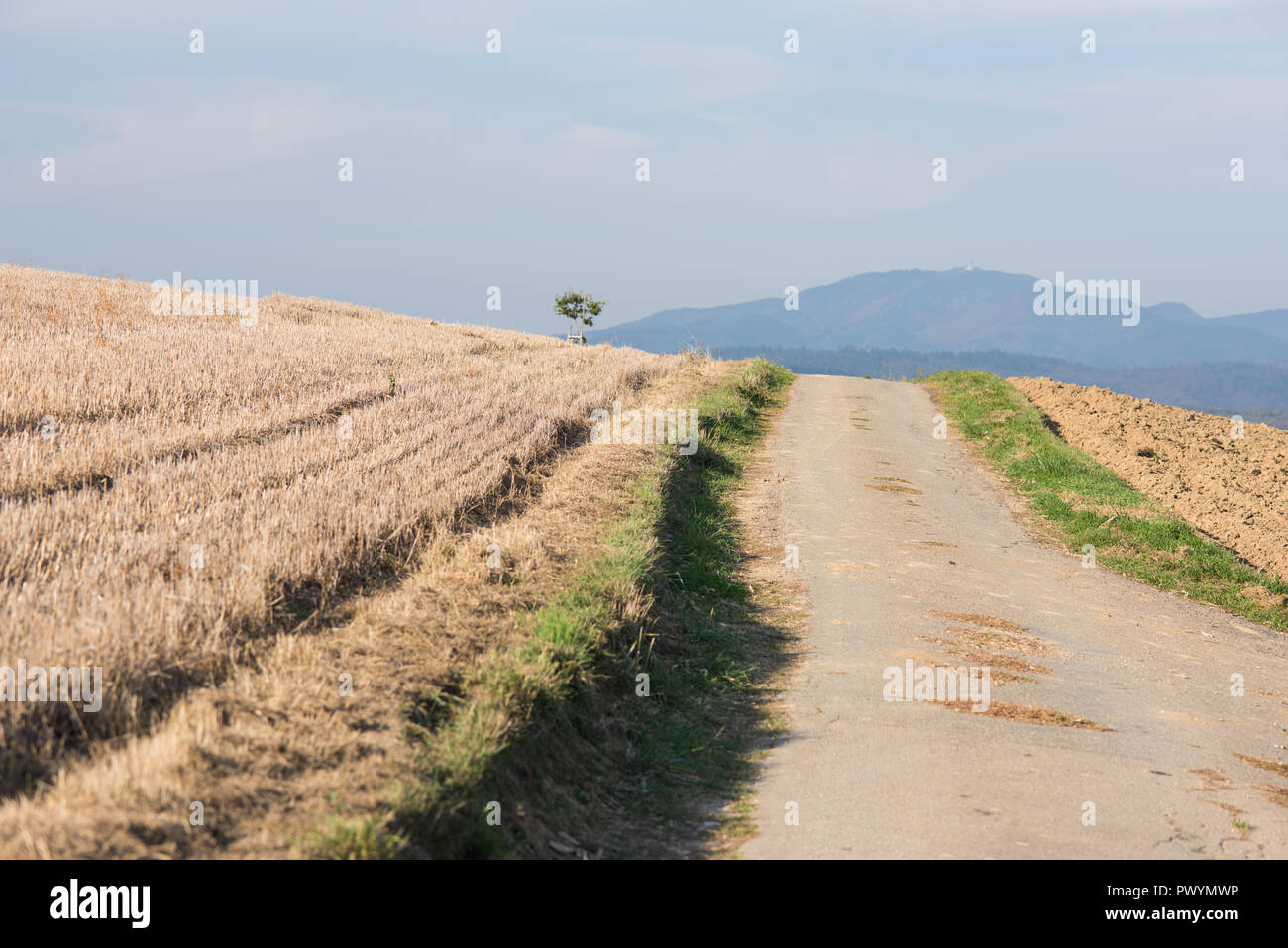 Walking across crop fields hi-res stock photography and images - Alamy