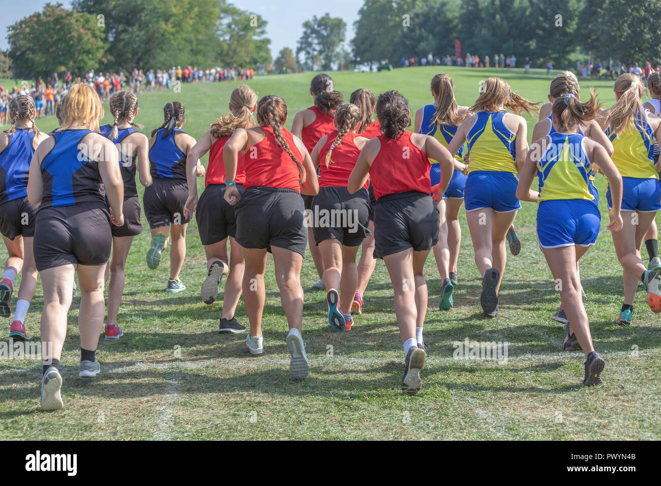 Cross Country girls race taking off at the starting line Stock Photo ...