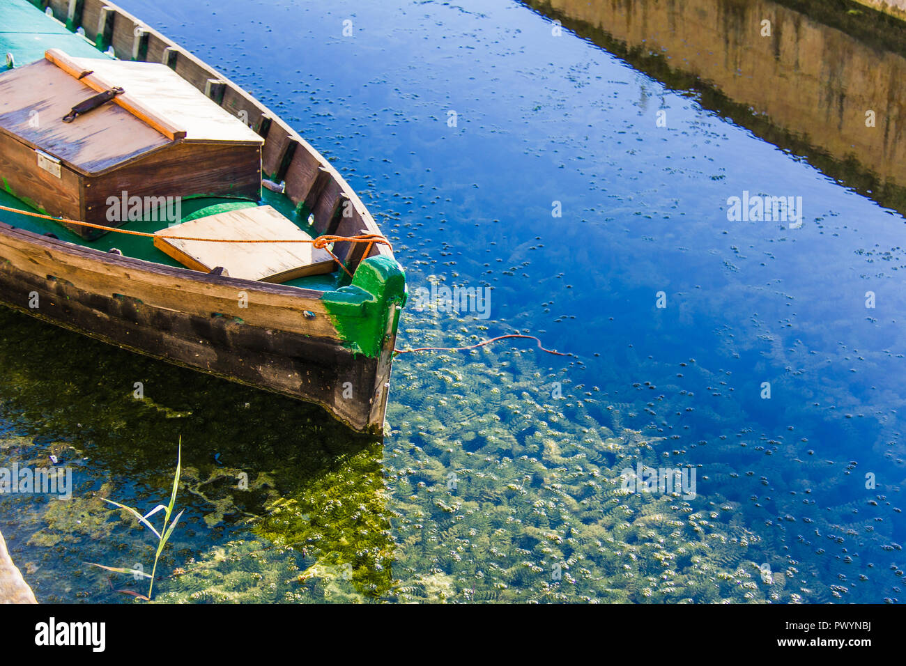 Palmar river hi-res stock photography and images - Alamy