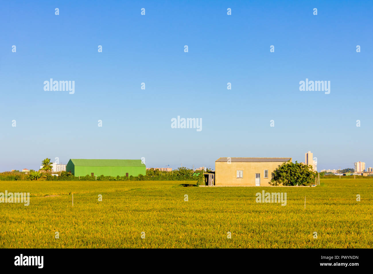 Valencia rice hi-res stock photography and images - Alamy