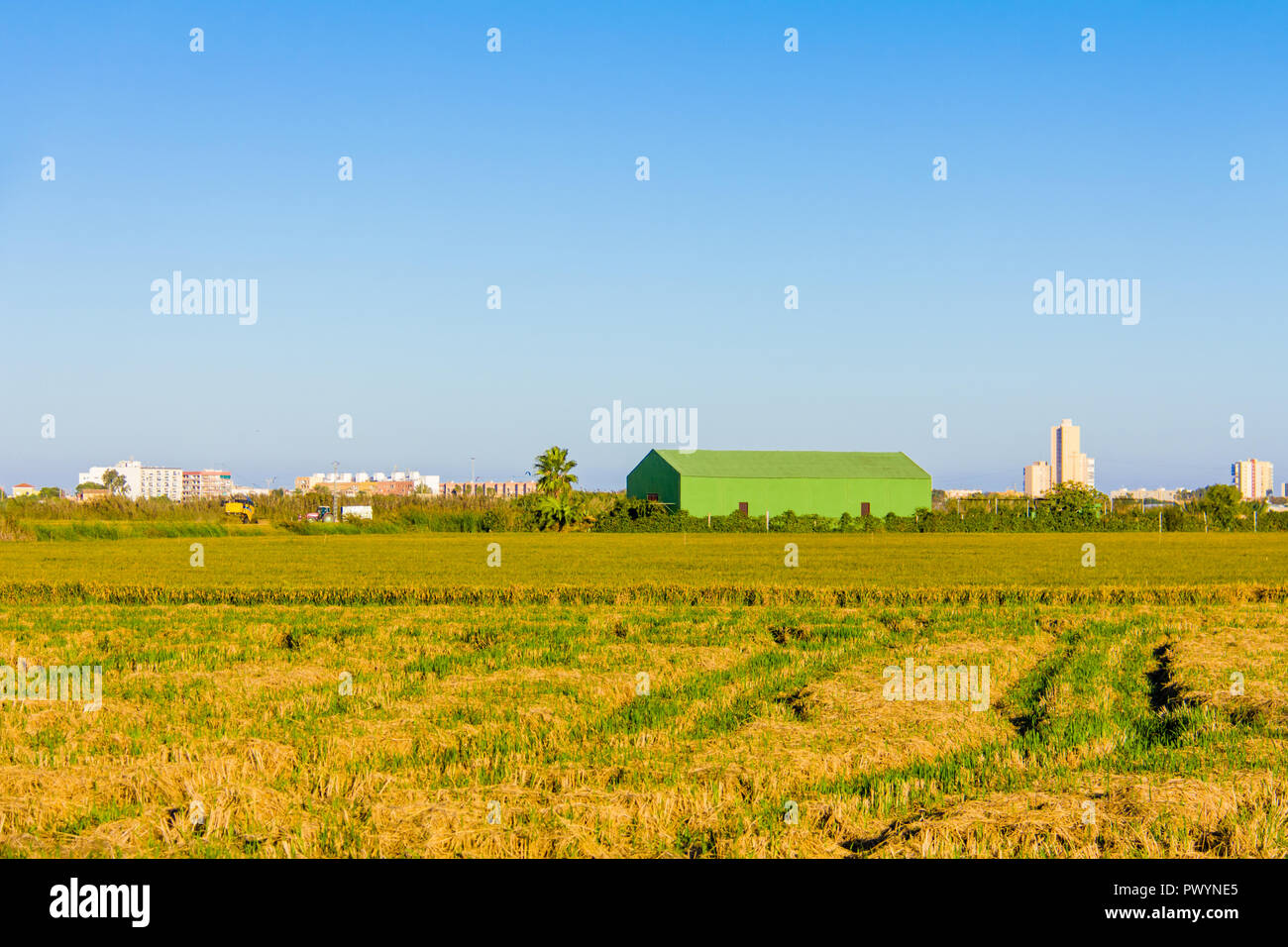 Valencia rice hi-res stock photography and images - Alamy