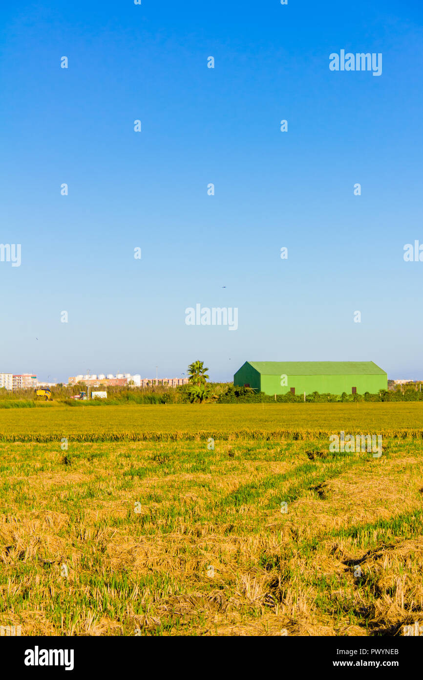 Valencia rice hi-res stock photography and images - Alamy