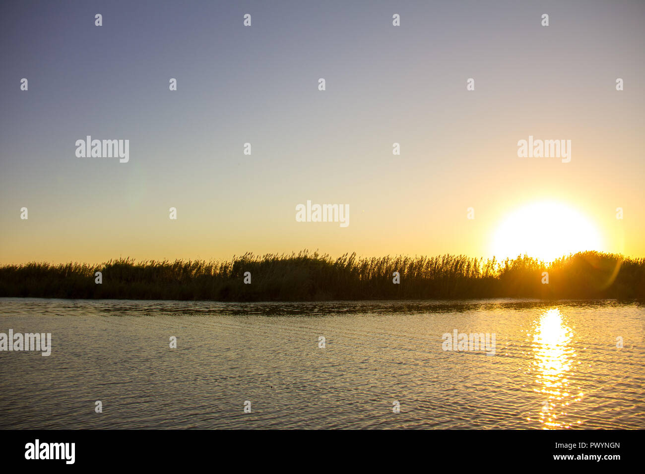Valencia city albufera lake hi-res stock photography and images - Alamy