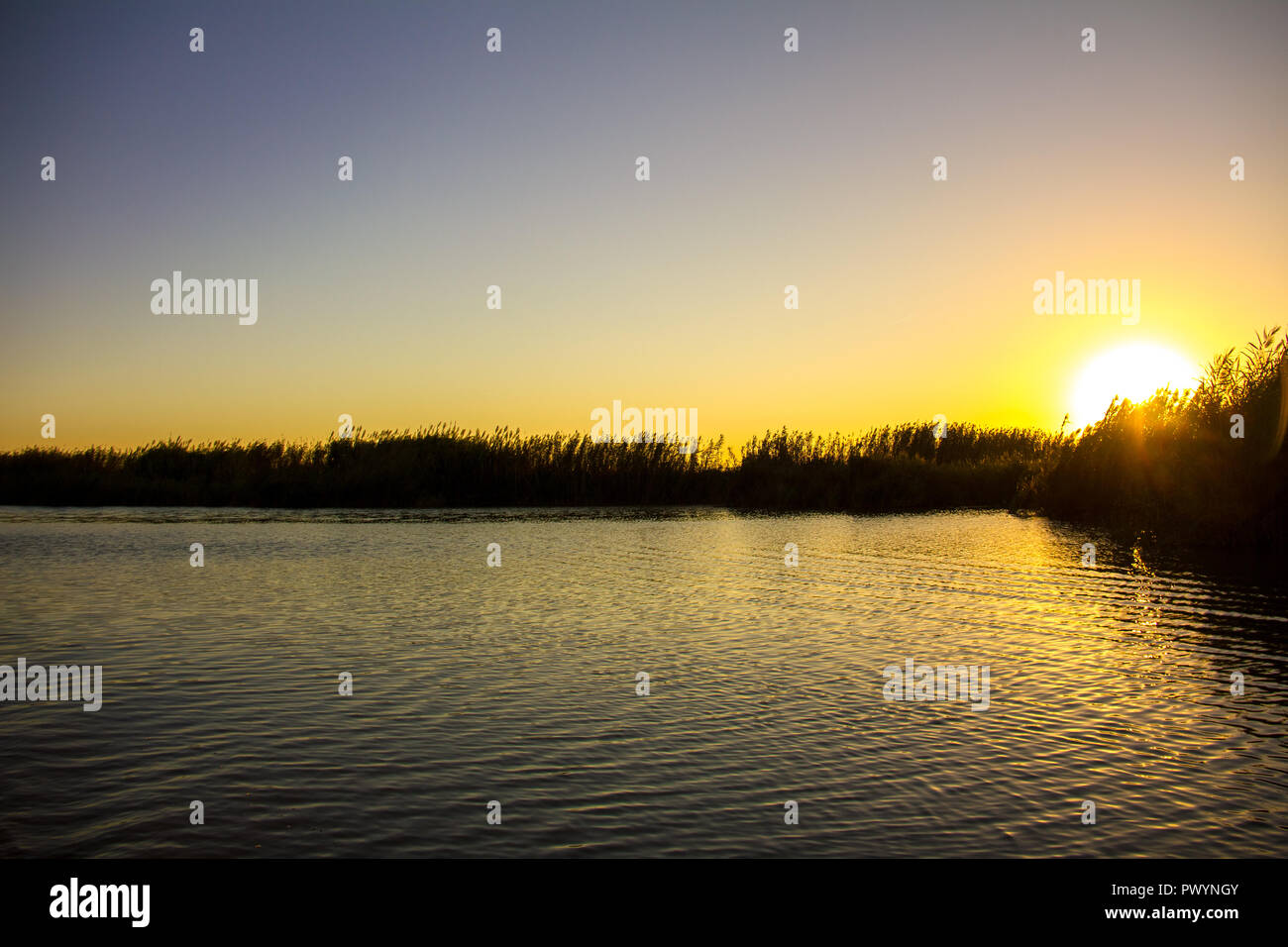 Valencia city albufera lake hi-res stock photography and images - Alamy