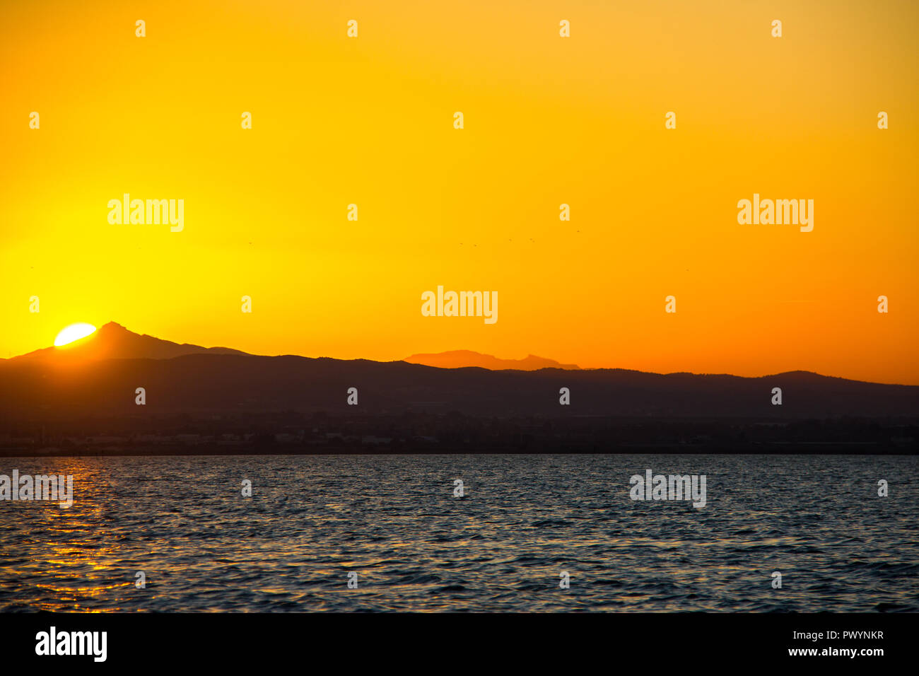 Valencia city albufera lake hi-res stock photography and images - Alamy
