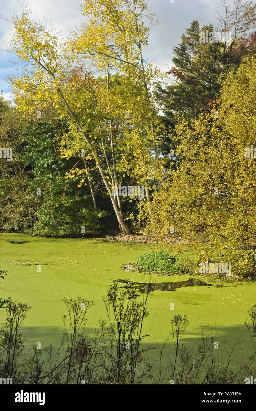 Beautiful Garden Lakes Stock Photo - Alamy