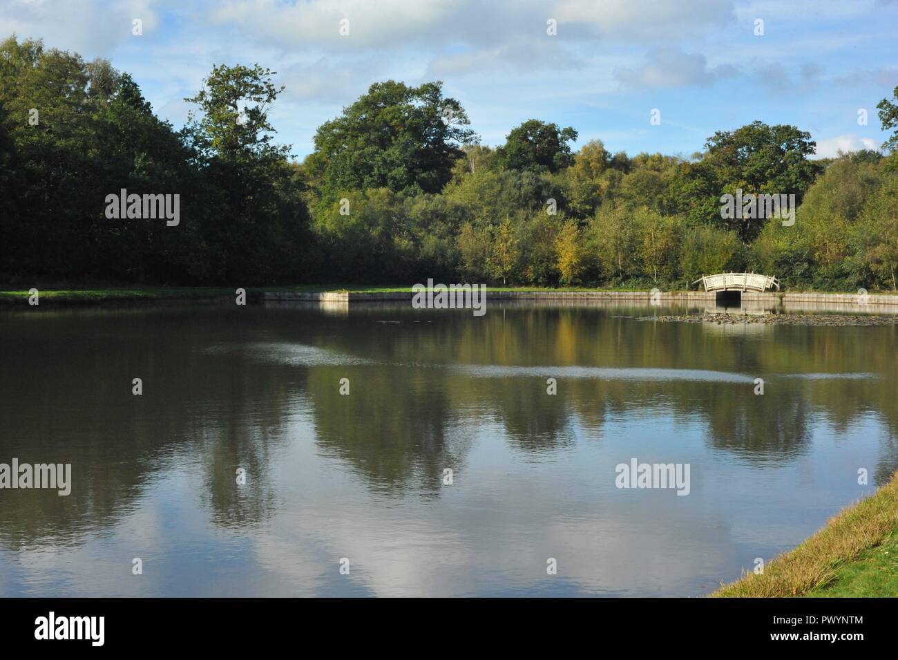 Cow Pond, Saville Gardens Windsor Stock Photo - Alamy