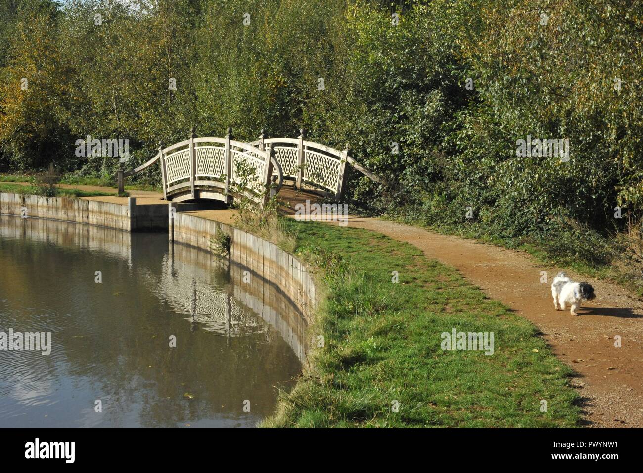 Cow Pond, Saville Gardens Windsor Stock Photo - Alamy