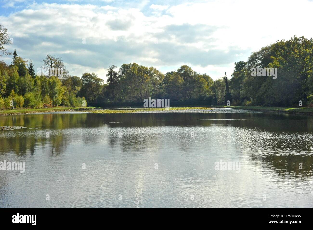 Cow Pond, Saville Gardens Windsor Stock Photo - Alamy