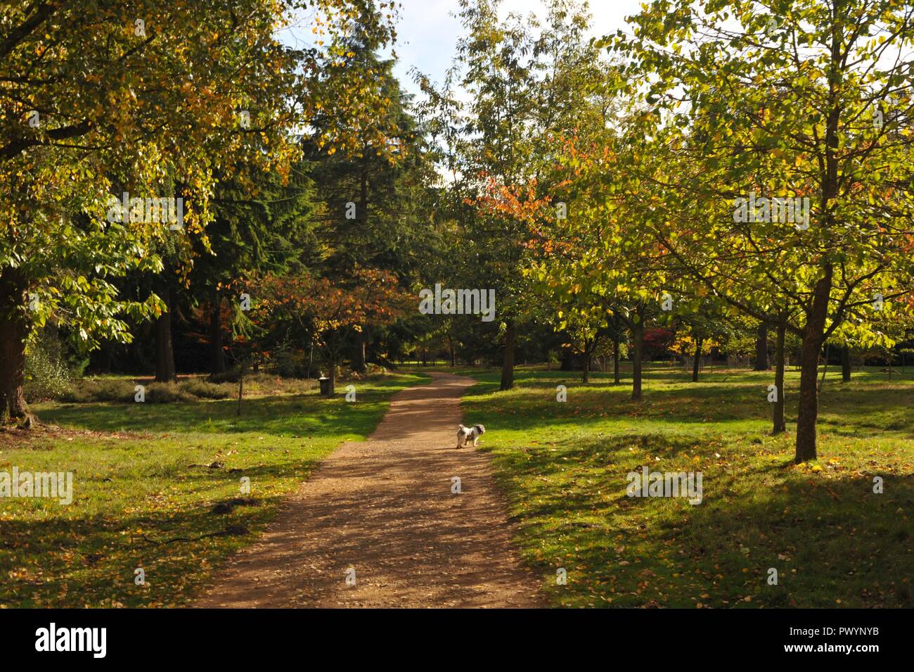 Glorious autumn colours Stock Photo - Alamy