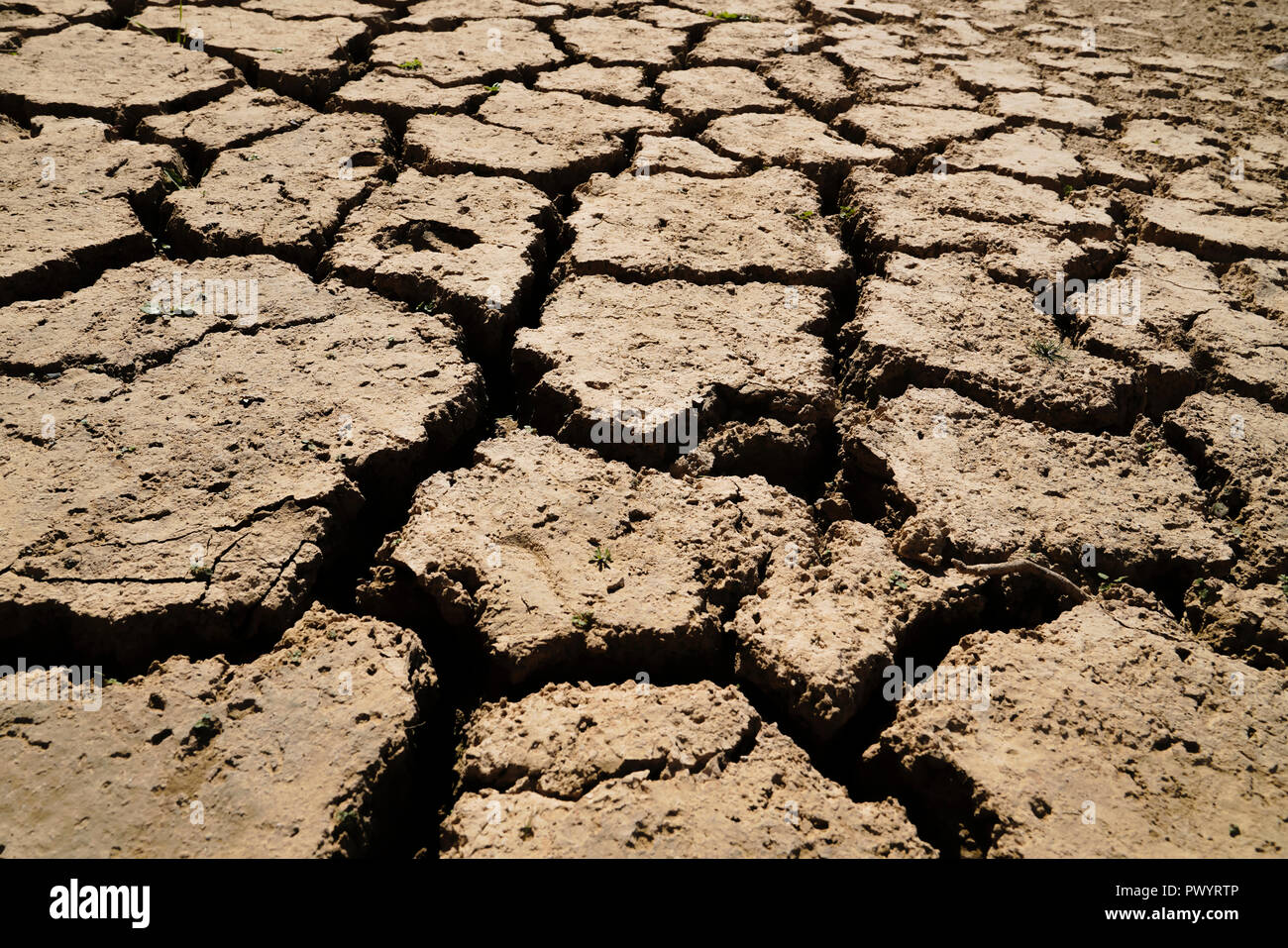 Cracked Desert Background