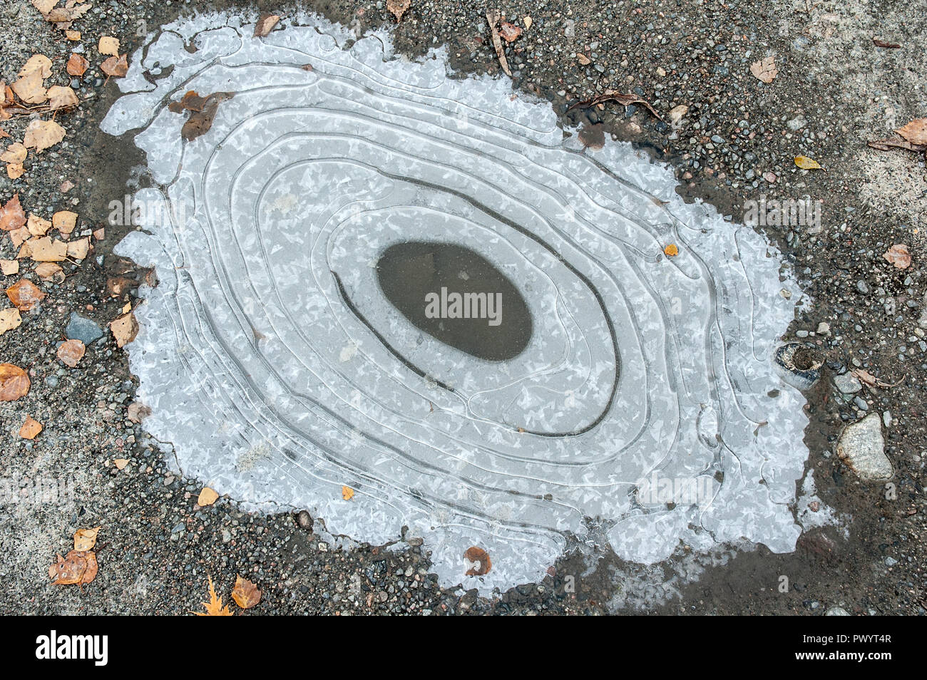 Puddle puddle hi-res stock photography and images - Alamy