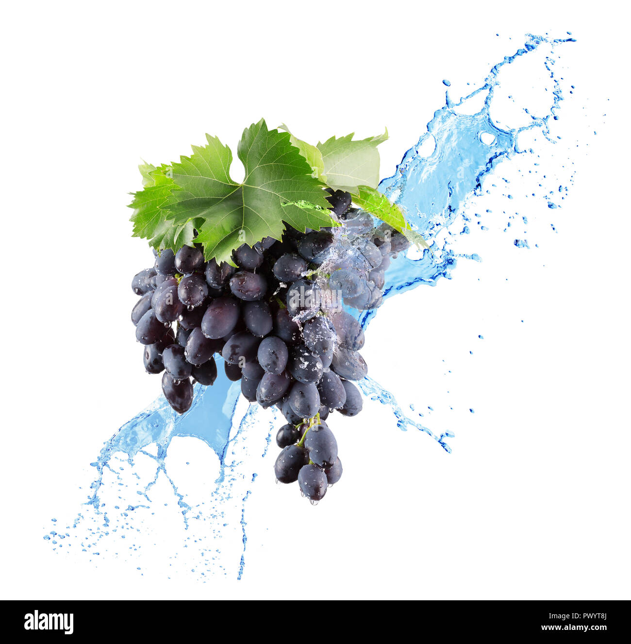 grapes in water splash on a whitebackground Stock Photo - Alamy