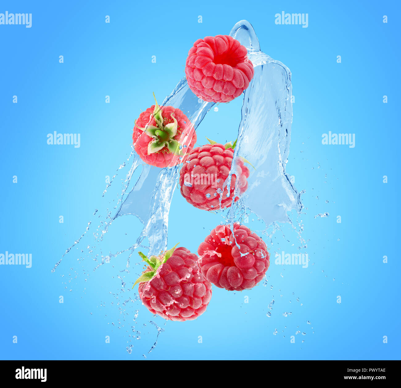 raspberries in water splash on a blue background Stock Photo - Alamy