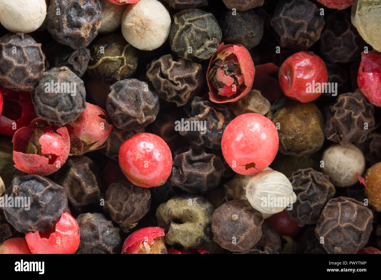 Close up bell pepper hi-res stock photography and images - Alamy
