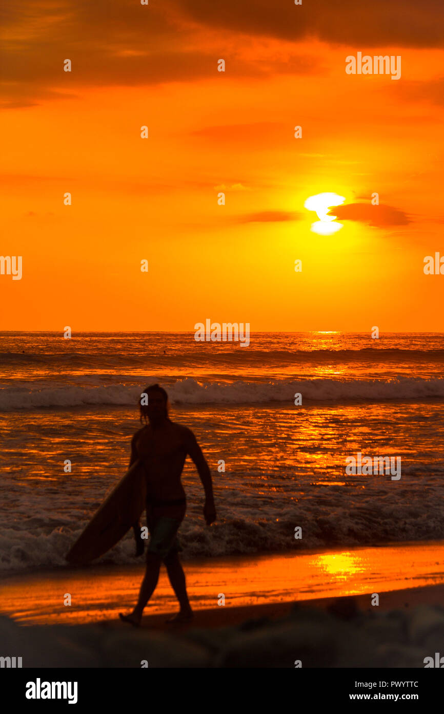 Beach sunset surfer man surfing lifestyle relaxing holding surfboard ...