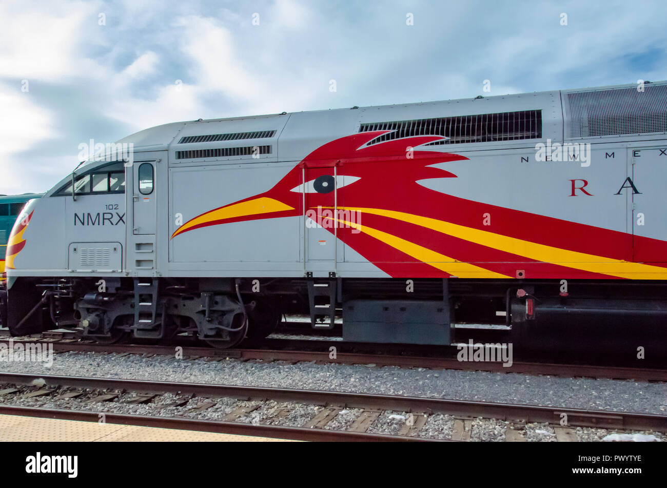 Roadrunner photography hi-res stock photography and images - Alamy