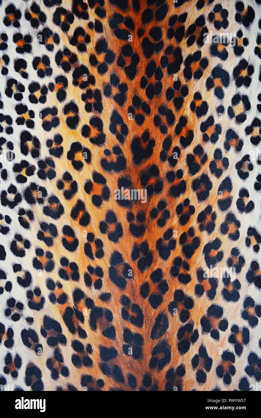 Wild animal skin pattern Stock Photo - Alamy