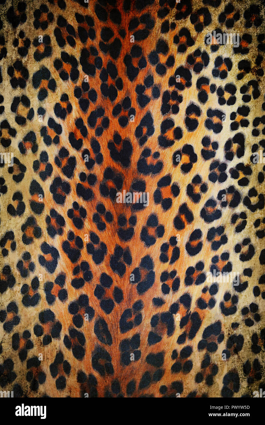 Wild animal skin pattern Stock Photo - Alamy