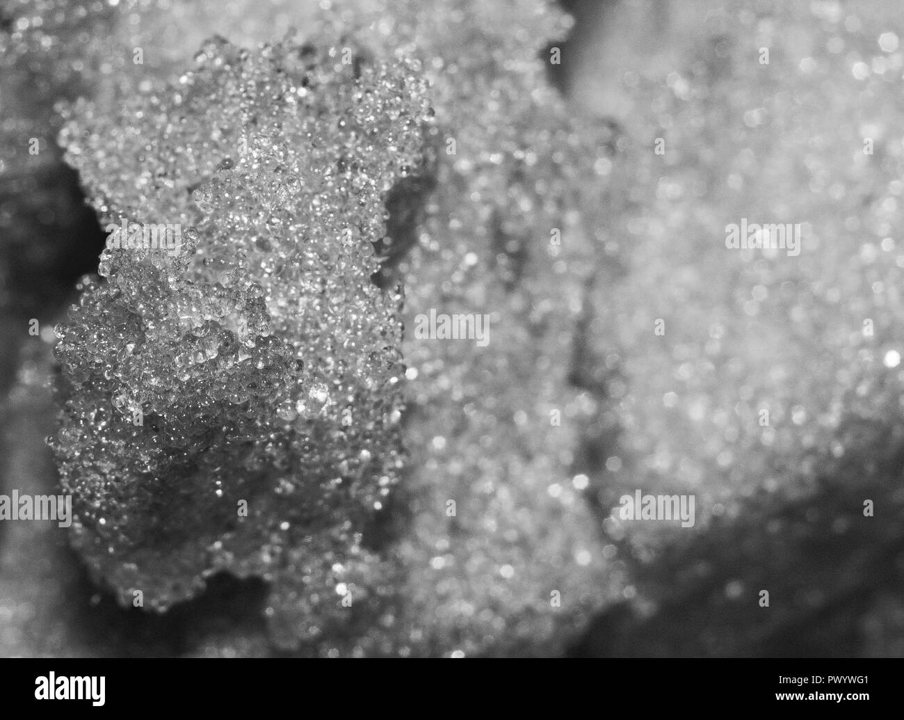 Still life and objects hi-res stock photography and images - Alamy