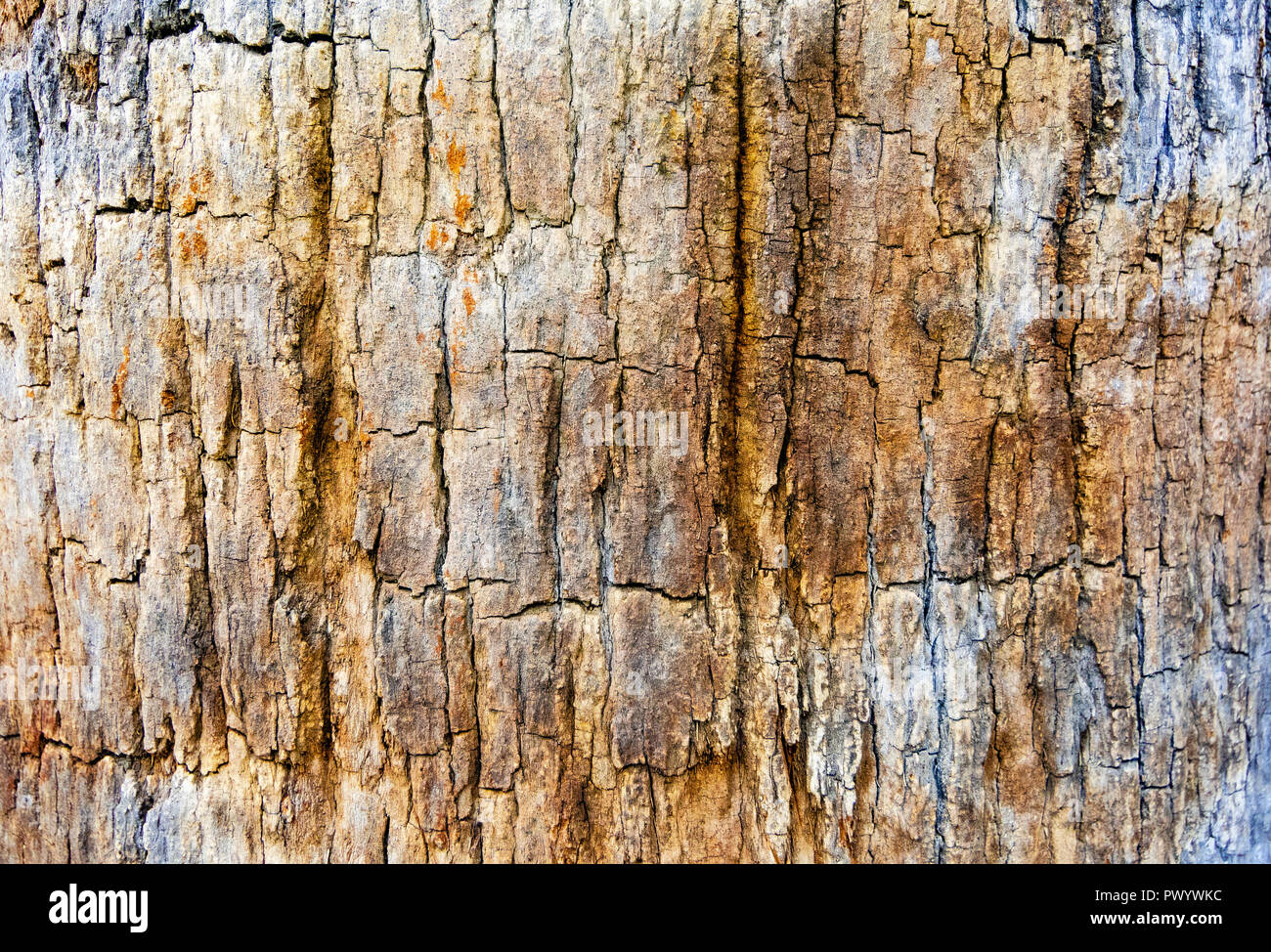 Macro Surface, The Beauty of the Unseen Abstract Textures & Backgrounds ...