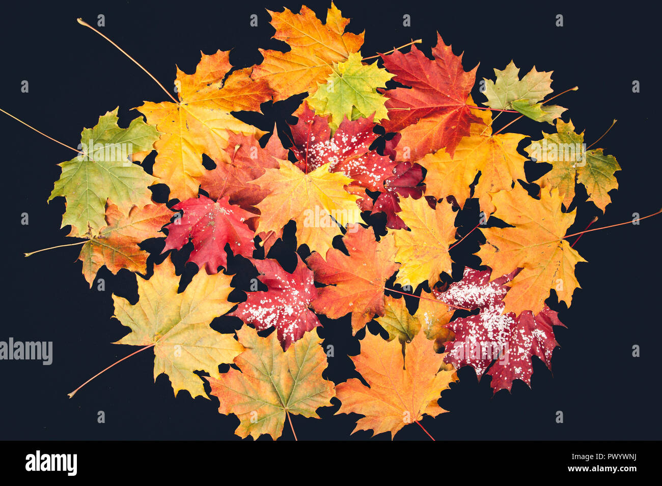 Grunge halloween background hi-res stock photography and images - Alamy