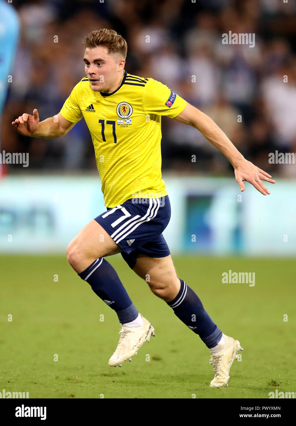 James Forrest, Scotland Stock Photo - Alamy