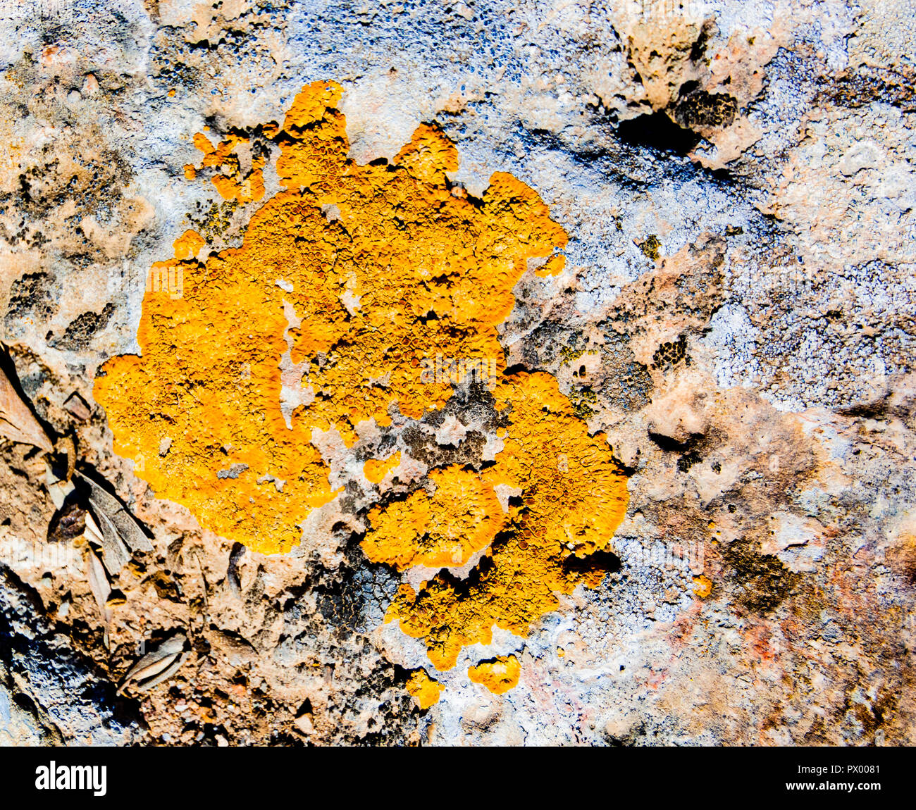 Macro Surface, The Beauty of the Unseen Abstract Textures & Backgrounds ...