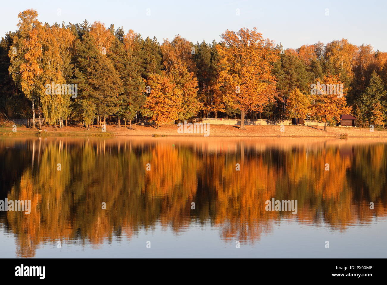Autumn colored trees and their reflection in the lake at sunset in mid ...
