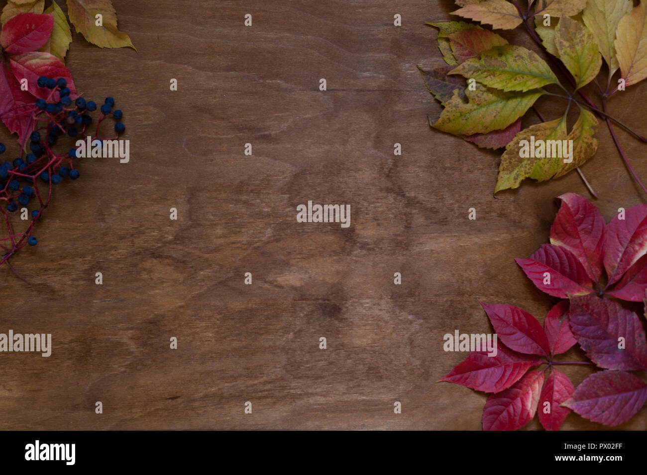 autumn yellow leaves wood texture background for lettering 1 Stock ...