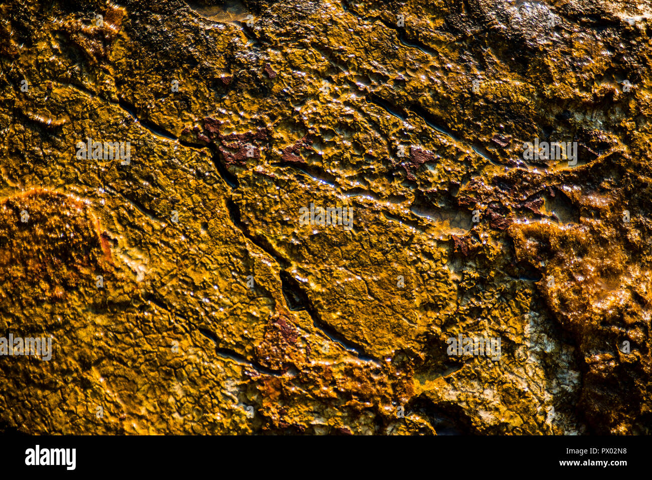 Macro Surface, The Beauty of the Unseen Abstract Textures & Backgrounds ...