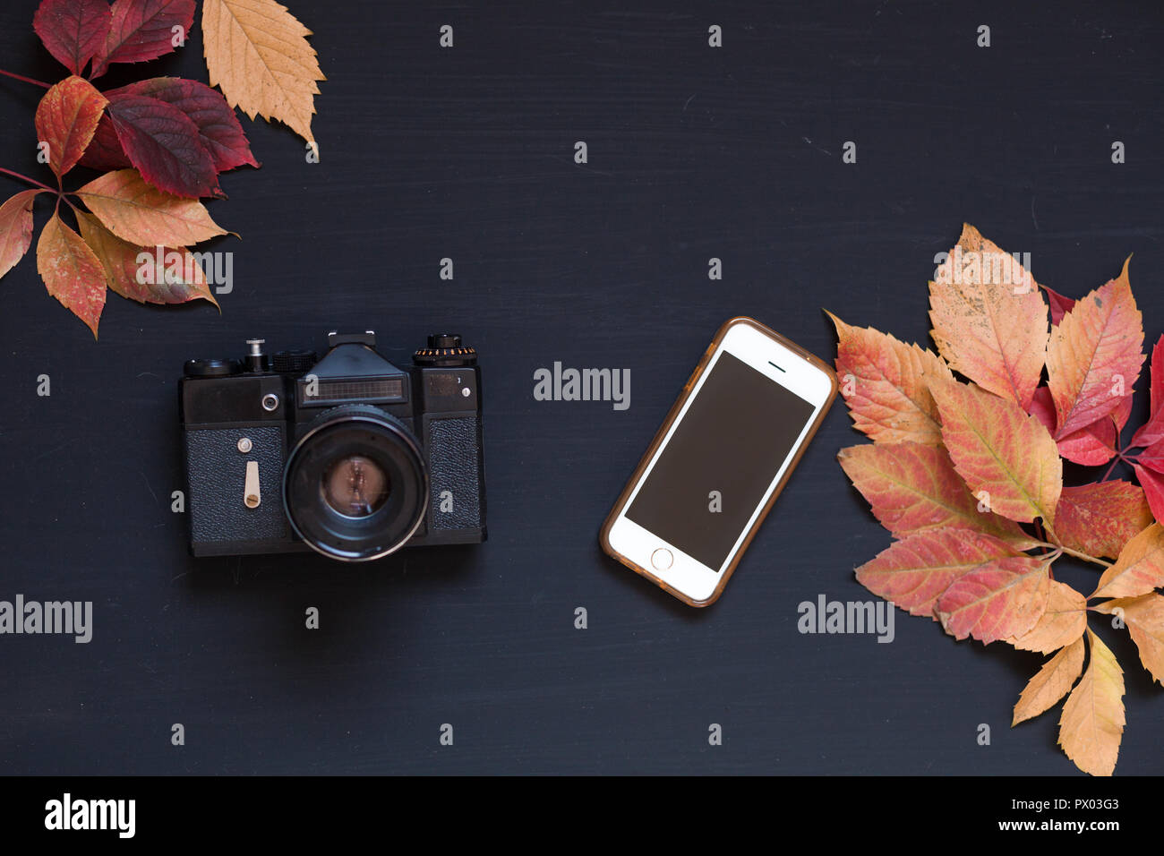 yellow autumn leaves old camera background Stock Photo - Alamy