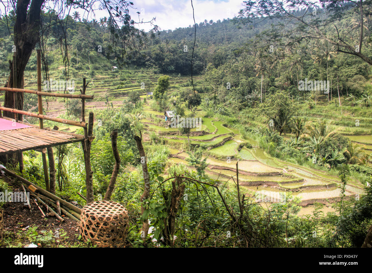 View over the rice fields near Amed in eastern Bali, the most touristic ...