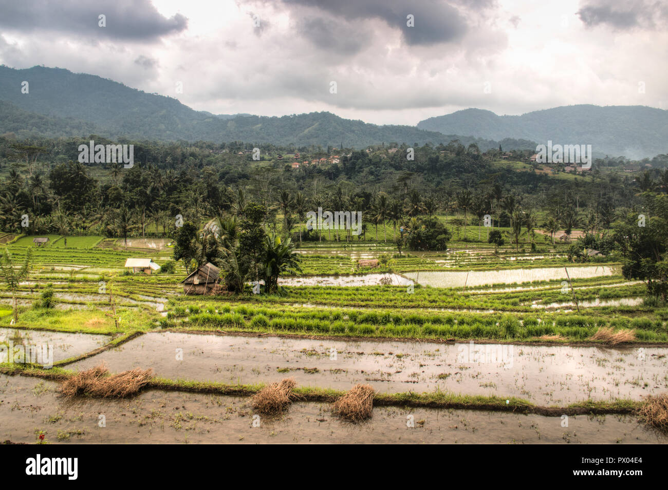 View over the rice fields near Sidemen in Bali, the most touristic ...