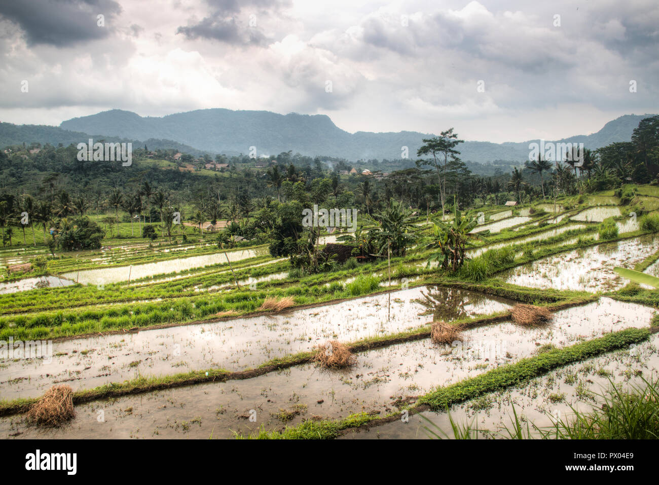 View over the rice fields near Sidemen in Bali, the most touristic ...