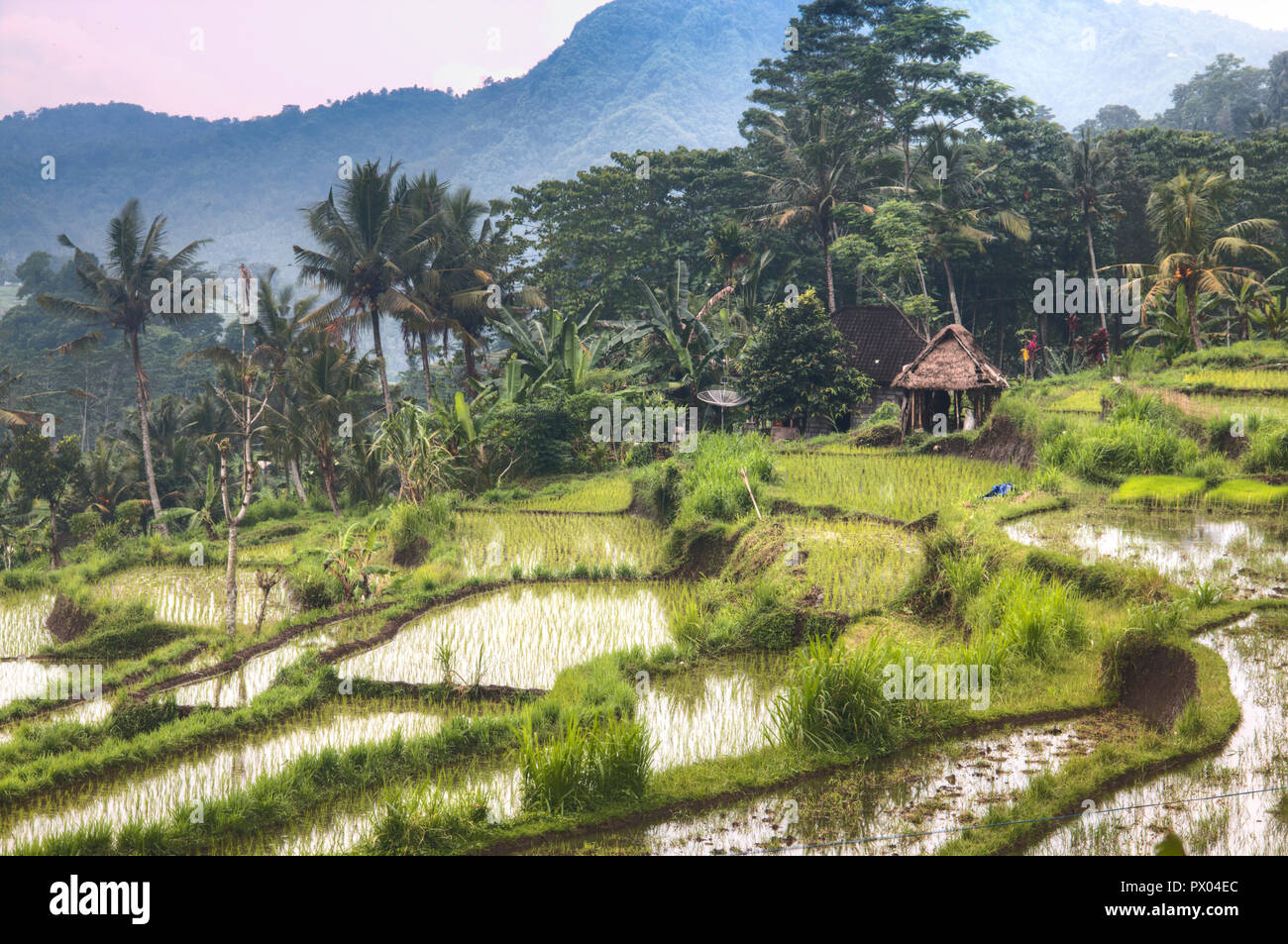 View over the rice fields near Sidemen in Bali, the most touristic ...
