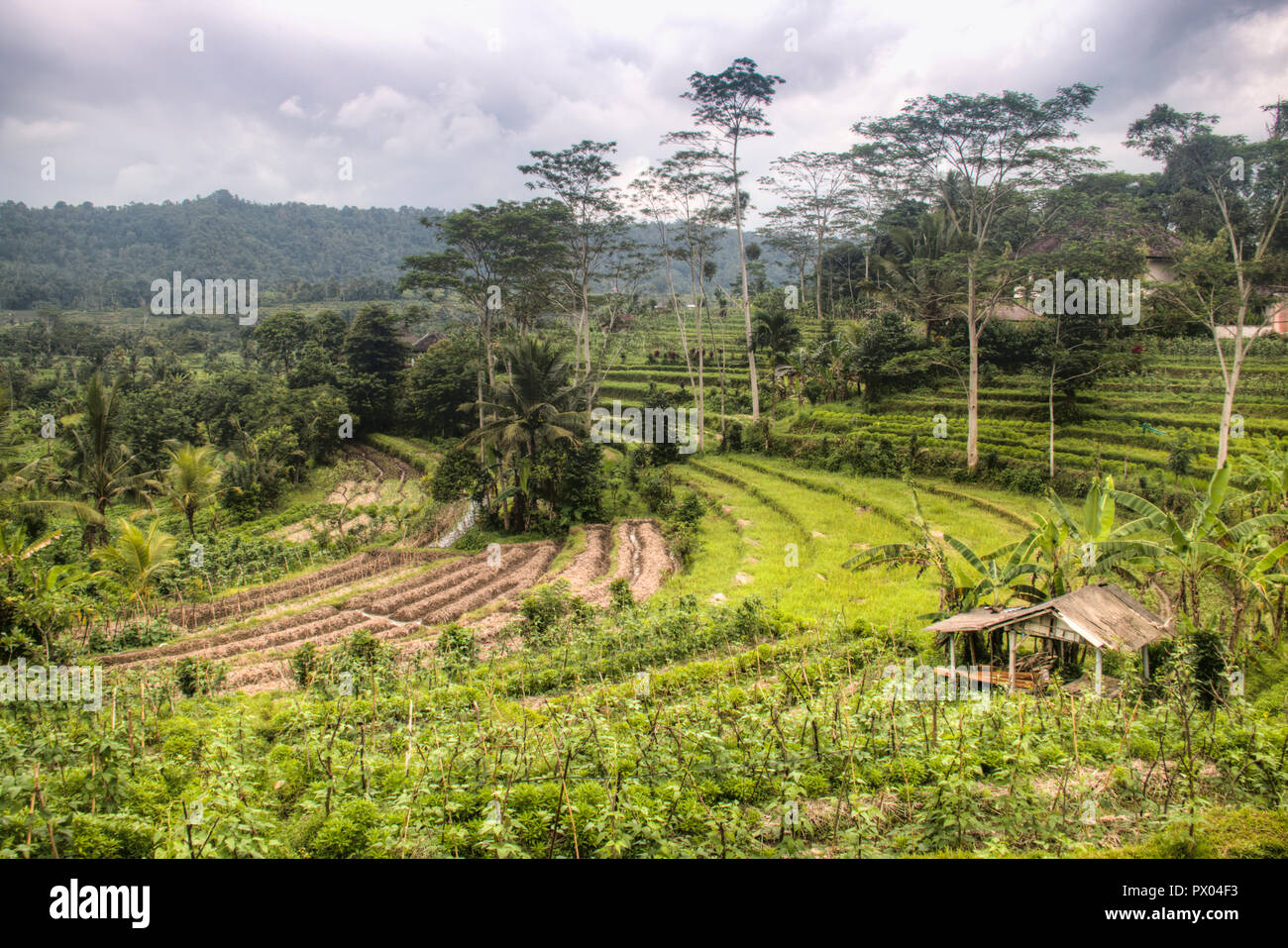 View over the rice fields near Sidemen in Bali, the most touristic ...