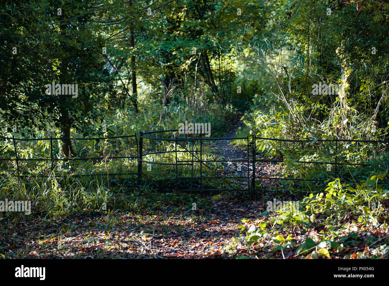 A country footpath with kissing gate in the autumn near Bishopstrow ...