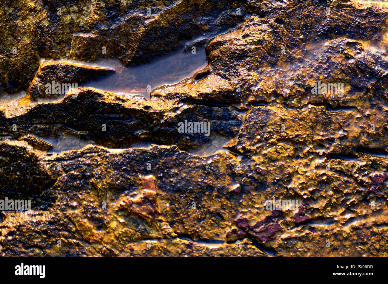 Macro Surface, The Beauty of the Unseen Abstract Textures & Backgrounds ...